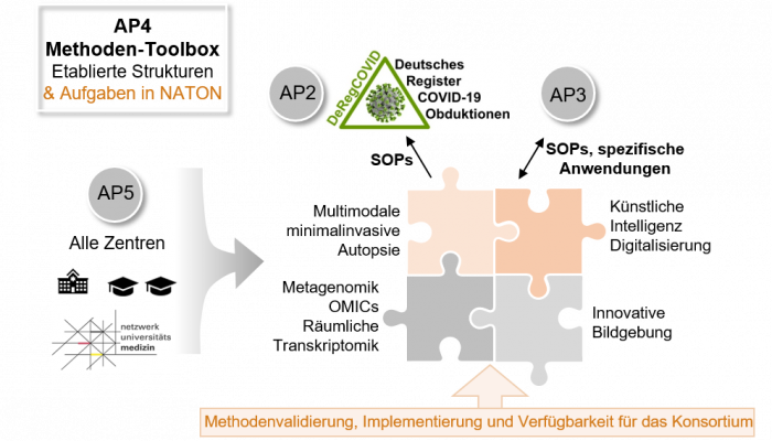 Methoden-Toolbox – Nationales Obduktionsnetzwerk